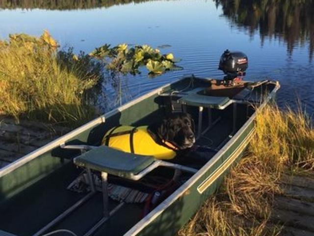 No Rd, Remote, AK 99667