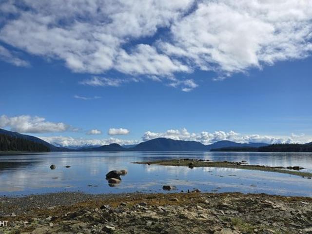 No Rd, Remote, AK 99820