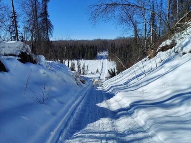 No Road E Walsted Dr, Talkeetna, AK 99676