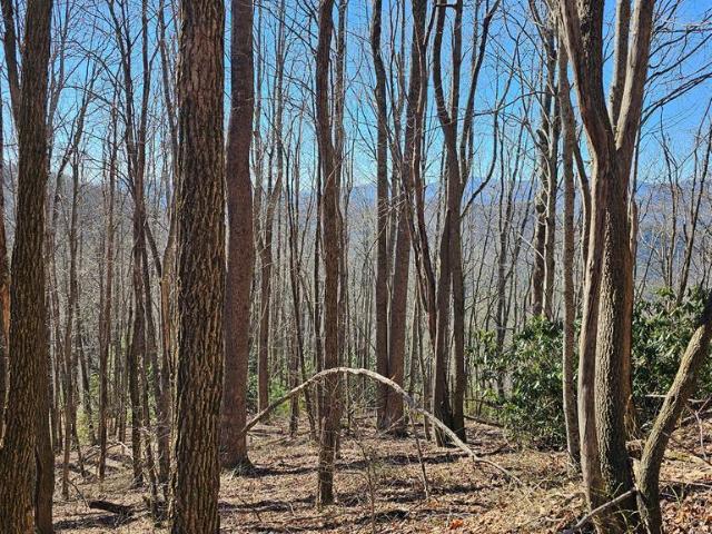 None Highland Gap Road