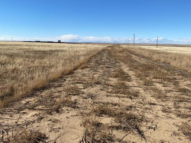 None, Rush, CO 80833 | MLS #8017