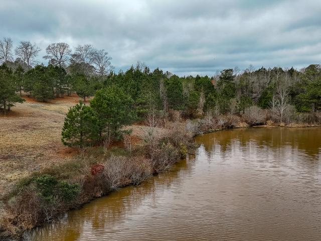 0 Wolf Creek Drive