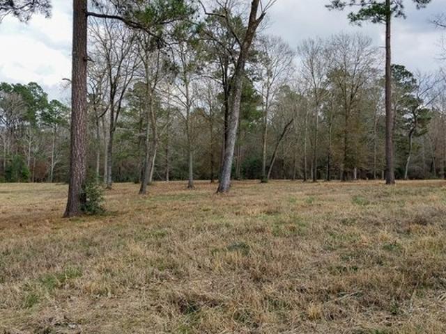 Noah Ct, Huntsville, TX 77320