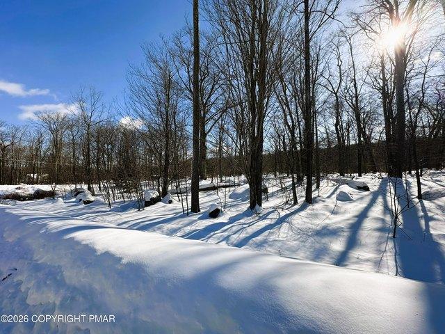 Noah Ct 13, Canadensis, PA 18325