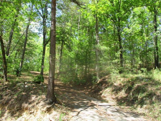 Noah Valley Rd