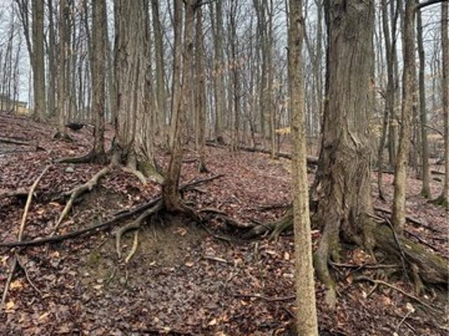 Nob Rd, Utica, NY 13501