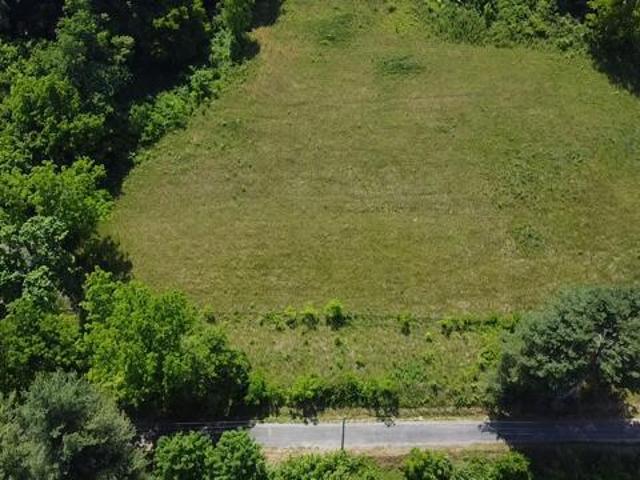 Noe Cir. 33.3 Acres Circle, New Market, TN 37820