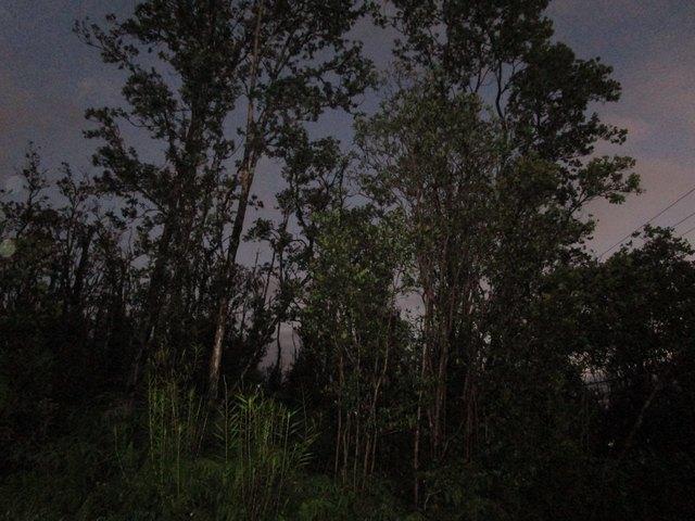 Noe Kuahiwi Rd, Volcano, HI 96785