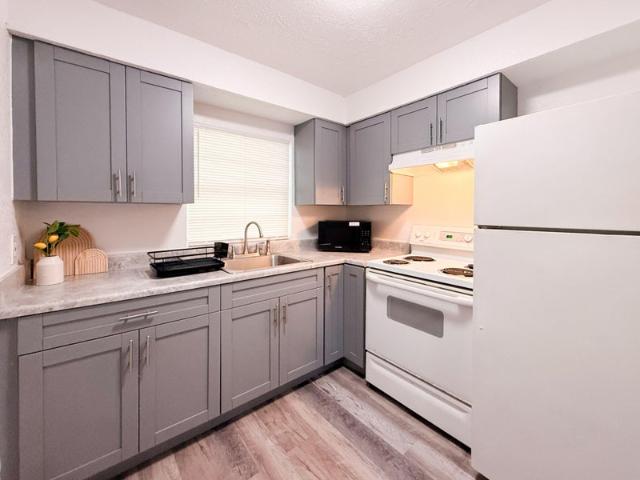 North Tampa Apartment 2 MEMBERS ONLY ! close to