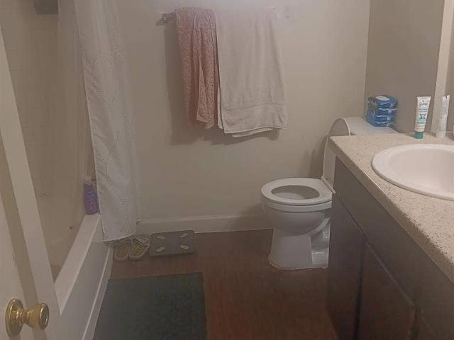 North Dallas roommate needed