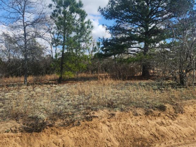 North Fork Road