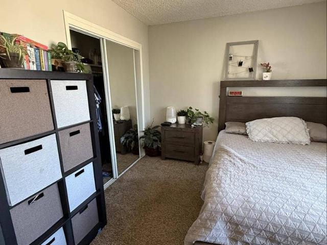 North Park Oct 1st Roommate/friend!