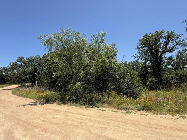 North Pass, Kingsland, TX 78639