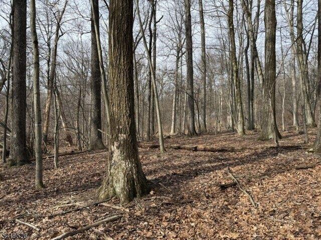 North Rd, Chester Township, Plot For Sale