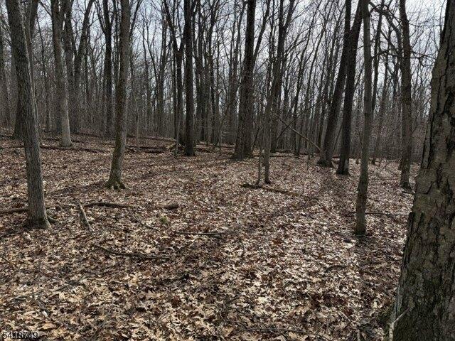 North Rd, Chester Township, Plot For Sale