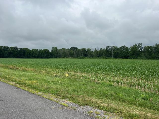 North Road