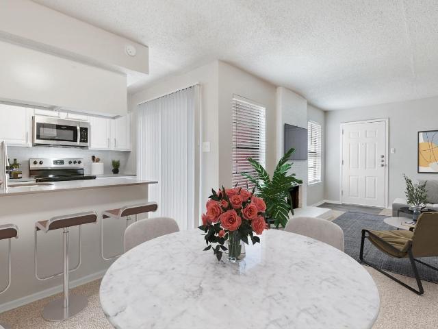 North Star Apartment Homes 2 Bedroom Apartment for Rent at 9600 Forest Ln, Dallas, TX 75243