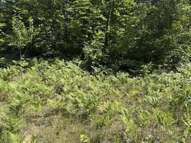 Northover Circle Rd Lot 64, Mancelona, MI 49659