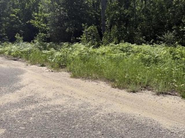 Northover Circle Rd Lot 73, Mancelona, MI 49659
