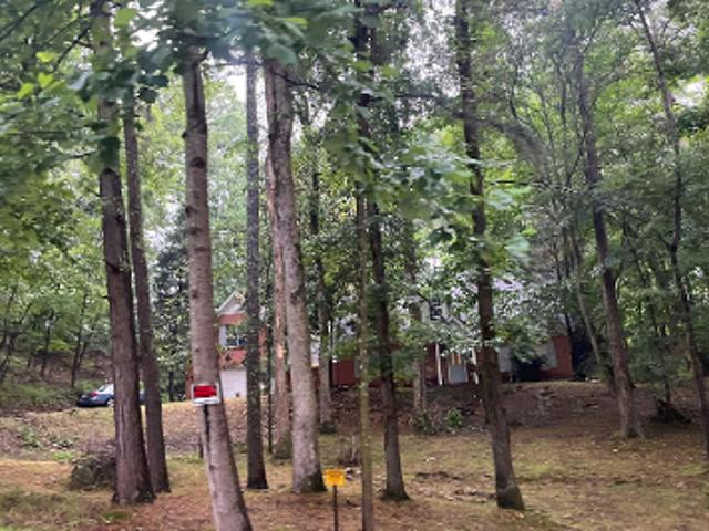 Northdale Dr