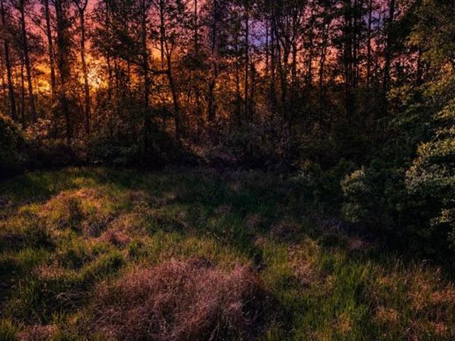 Northeast 47th Pl, FL 34488