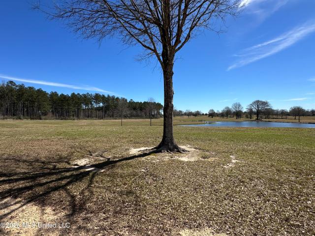 Northern Exposure, Poplarville, MS 39470