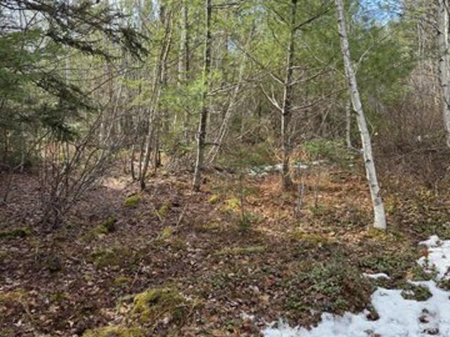 Northfield Rd, Marshfield, ME 04652