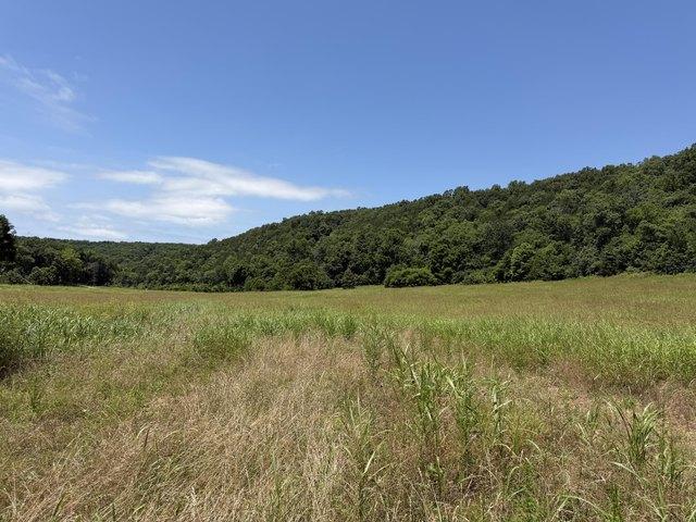 Northfork Village St Lot 1, Tecumseh, MO 65760