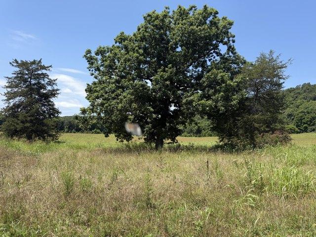 Northfork Village St Lot 2, Tecumseh, MO 65760