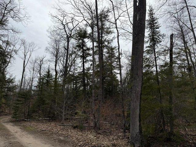 Northport Ln Lot 3, Gills Rock, WI 54210