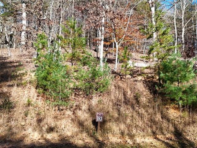 Northshore Dr Lot 183, Cleveland, GA 30528
