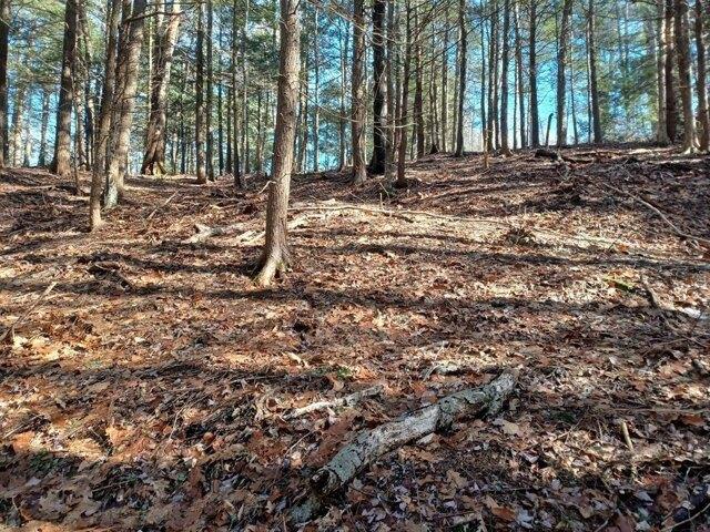 Northwest Rd, Westhampton, Plot For Sale
