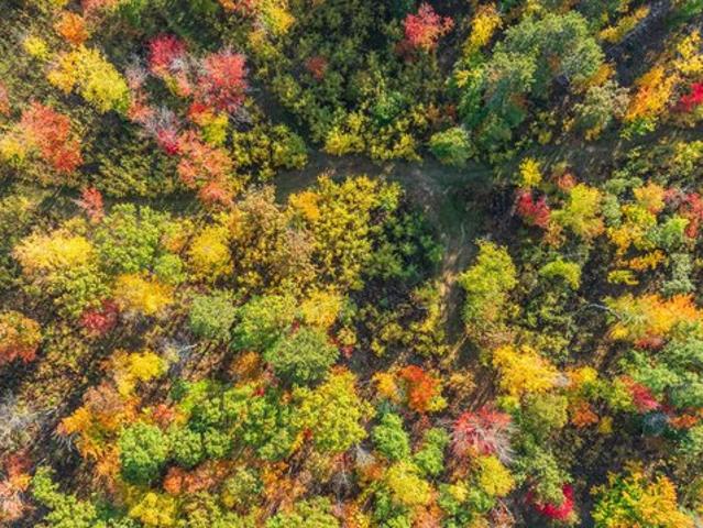 Northwestern Dr Lot 8, Rhinelander, WI 54501