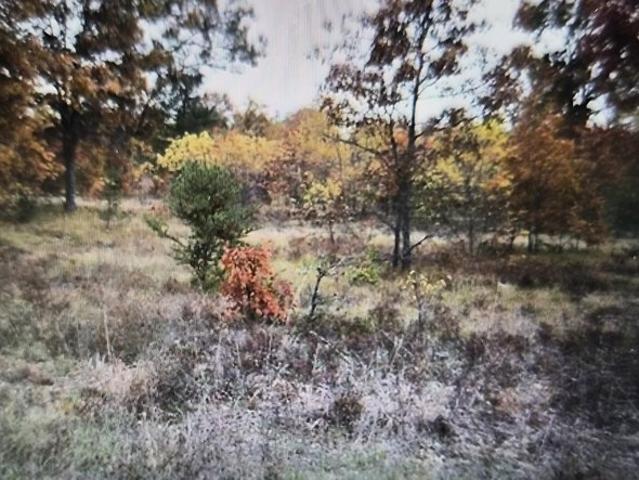 Northwood Dr Lot 24, Grayling, MI 49738