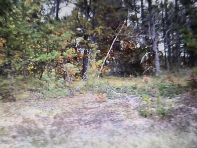 Northwood Dr Lot 28, Grayling, MI 49738