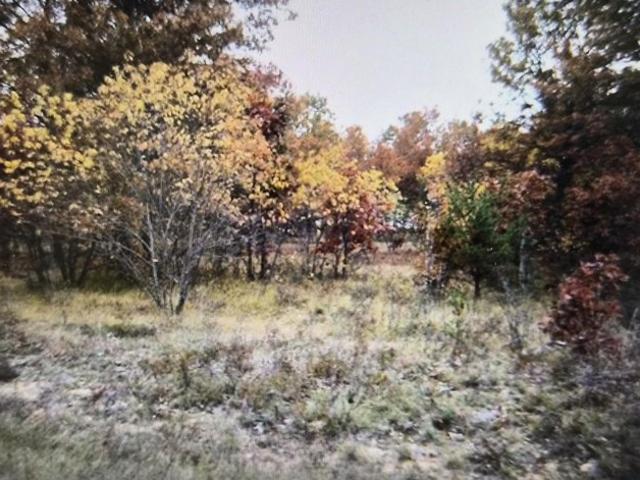 Northwood Dr Lot 22, Grayling, MI 49738