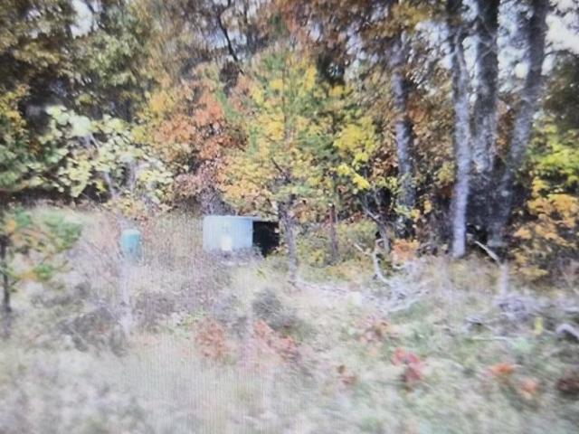 Northwood Dr Lot 37, Grayling, MI 49738