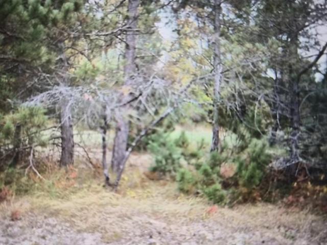 Northwood Dr Lot 39, Grayling, MI 49738