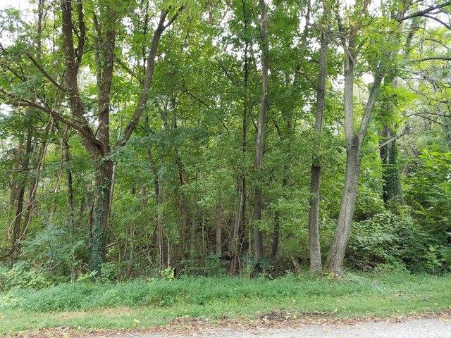 Northwood Dr NW, Roanoke, VA 24017