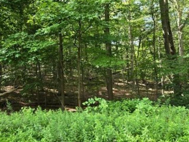 Northwood Rd, Hopatcong, Plot For Sale