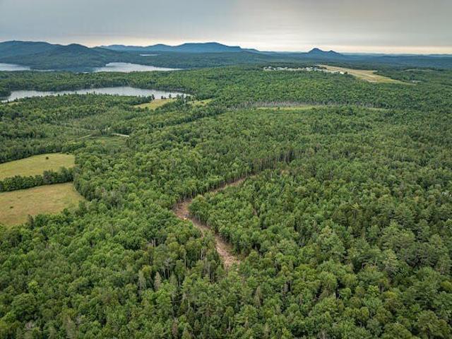 Northwoods Dr Lot,greenville, Plot For Sale