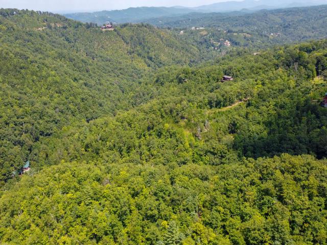 Norton Creek Rd, Gatlinburg, TN 37738