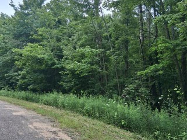 Norway Dr Lots 137 & 138139, Elmira, MI 49730