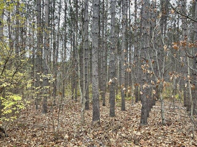 Norway Dr, Woolwich, Plot For Sale