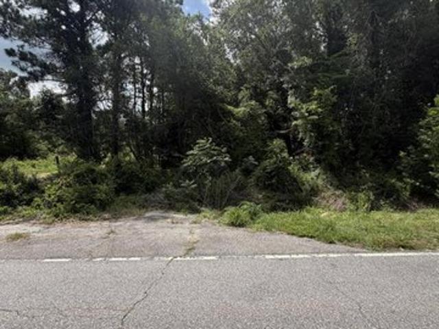 Norway Rd, Orangeburg, SC 29115