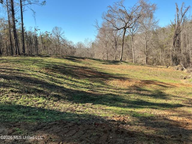 Norwood Road, Carrollton, MS 38917