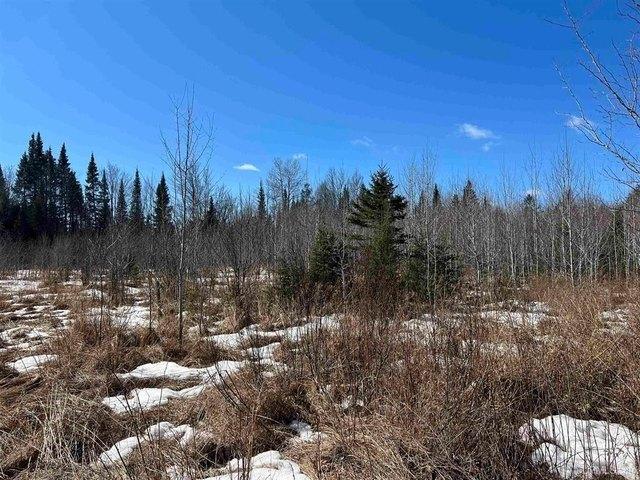 Nordstrom Rd, Iron River, MI 49935