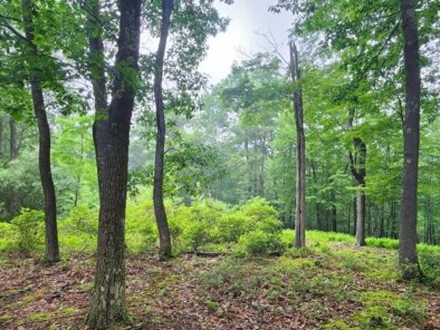 Normas Way Unit,mchenry, Plot For Sale