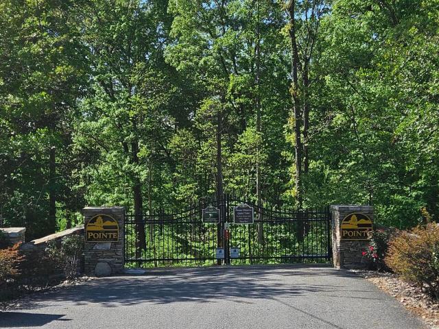 Norris View Lane 1, LaFollette, TN 37766