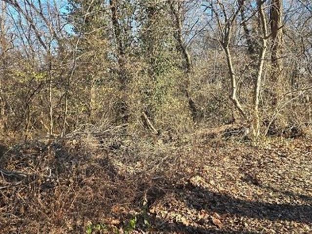 Nottingham Ln, Belleville, IL 62223